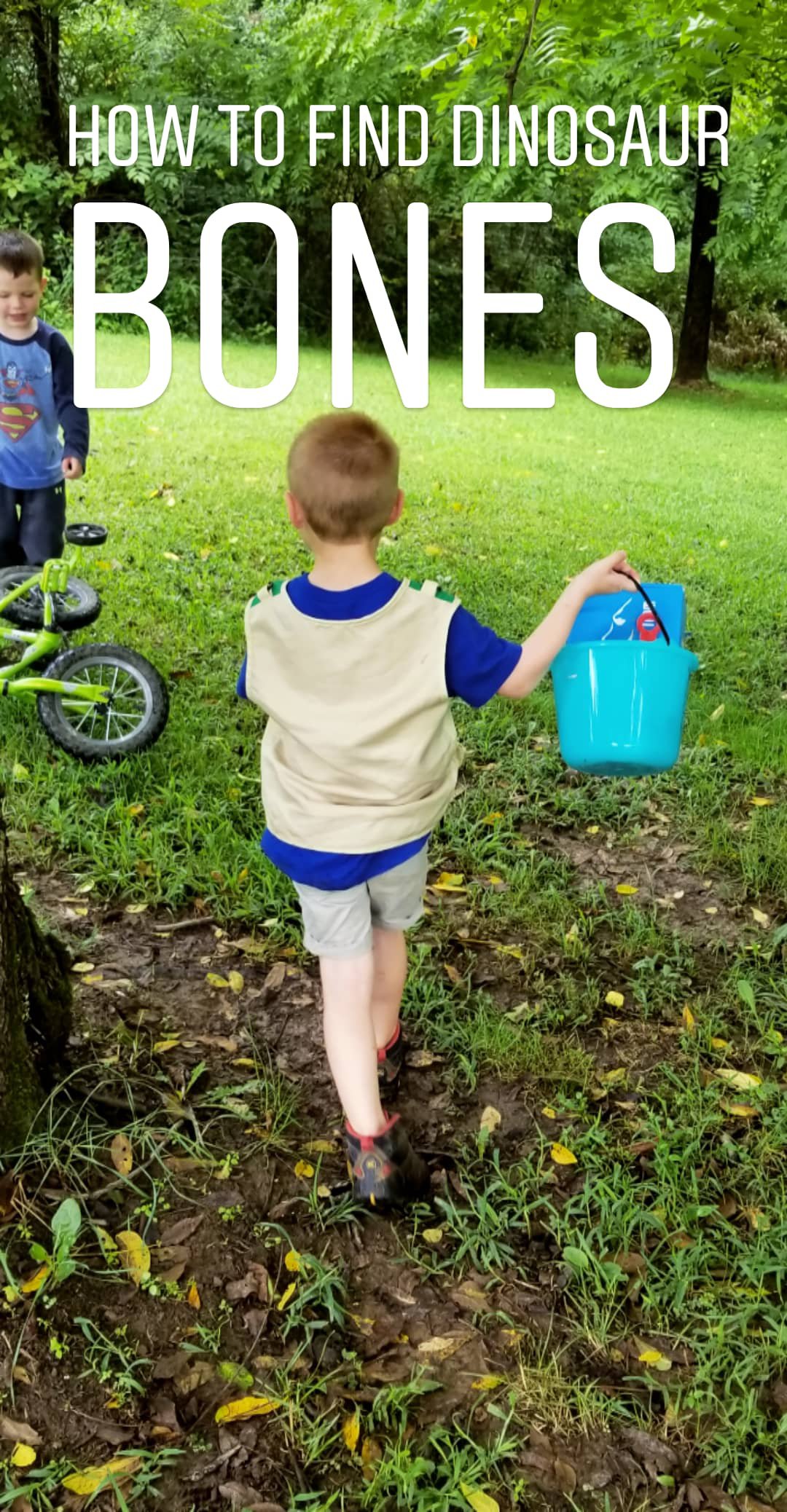 How to find dinosaur bones – life, love & little boys