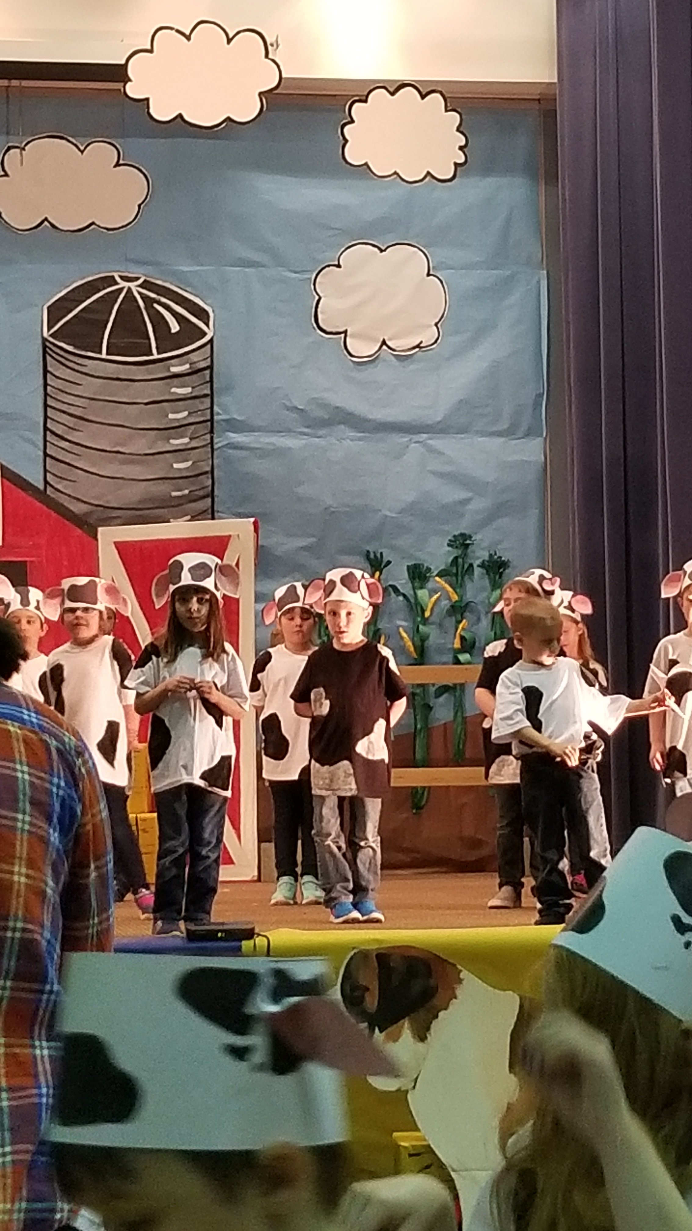 Spring has Sprung – life, love & little boys