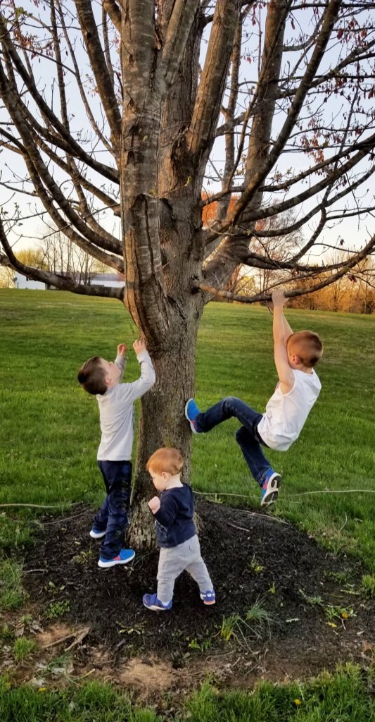 Spring has Sprung – life, love & little boys