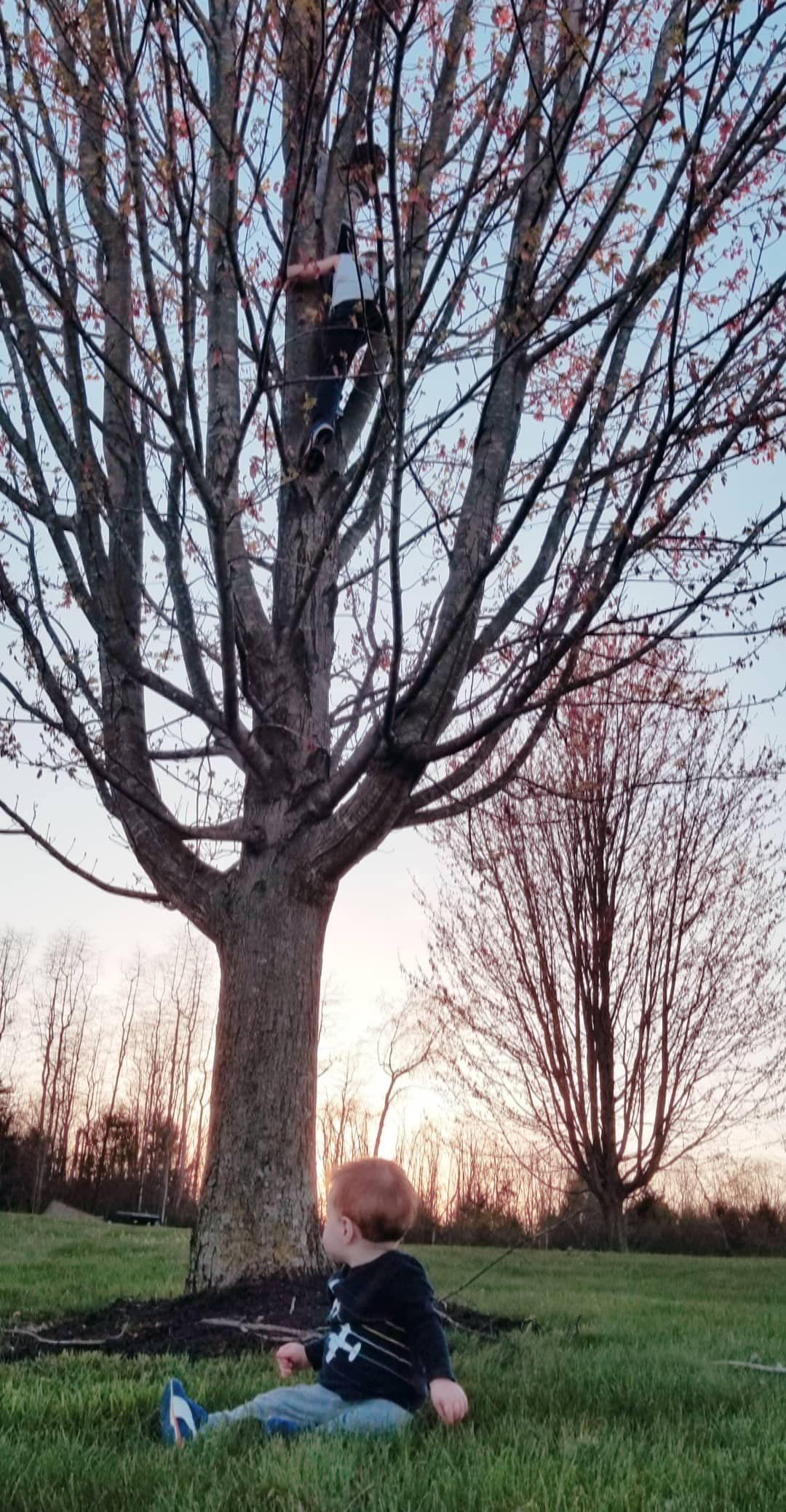 Spring has Sprung – life, love & little boys