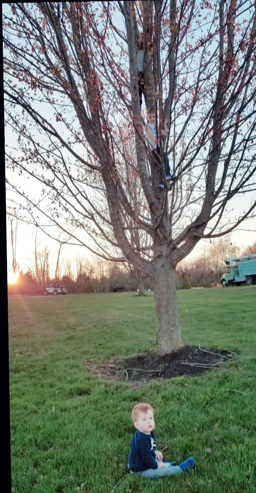 Spring has Sprung – life, love & little boys